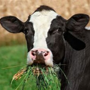 Steam Community :: SwellCattle9