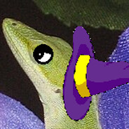 Steam Community :: Wizard Lizard