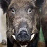 Steam Community :: Gaxon