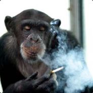 Steam Community :: Sturgeon General