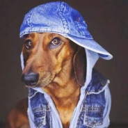 Steam Community :: Evil Hawk Tuah