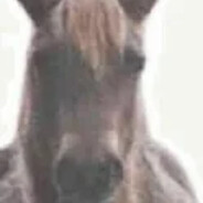 Steam Community :: evil and intimidating horse