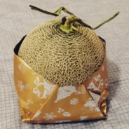 Steam Community :: melon