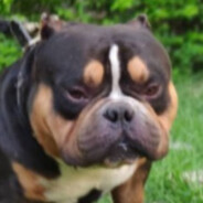 Steam Community :: Wolodya