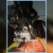 Steam Community :: Squishy