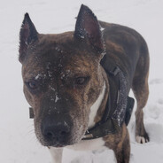 Steam Community :: MEtHOD