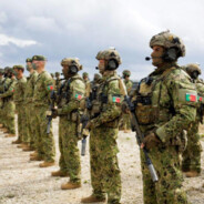 Steam Community :: Tigas_Tuga