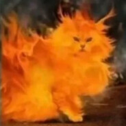 Steam Community :: Phoenix Cat