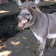 Steam Community :: Bumpy