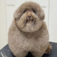 Steam Community :: IPUCHI