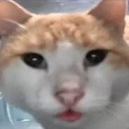 Steam Community :: pakron