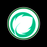 Steam Publisher: Mintsphere