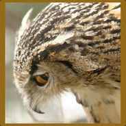 Steam Community :: ShpilKA