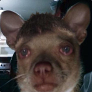 Steam Community :: Poonis