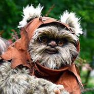 Steam Community :: Ewok