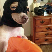 Steam Community :: roach