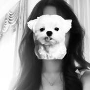 Steam Community :: Yippee Yippu