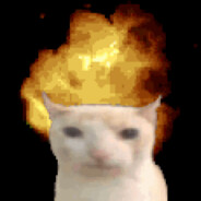 Steam Community :: bomboclat cat