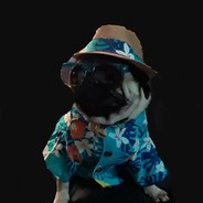 Steam Community :: Puggly