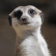 Steam Community :: Victimy