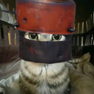 Steam Community :: cat heavy