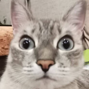 Steam Community :: ILUSHA_AVTOBOT