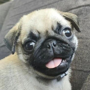 Steam Community :: cmetanka