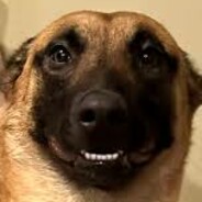 Steam Community :: Group :: Dota2.Dogs