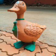 Steam Community :: gyattebayo