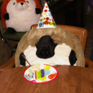 Steam Community :: ray