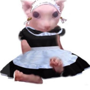 Steam Community :: Bimgus RIZZ on balls