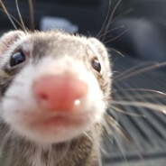 Steam Community :: Vans