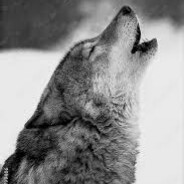 Steam Community :: Awoooooooooo