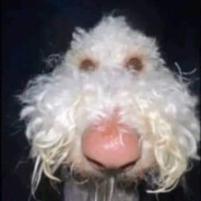 Steam Community :: Melon