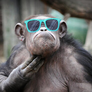 Steam Community :: Monkey