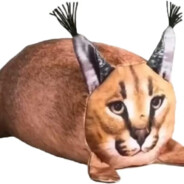 Steam Community :: Floppa_FromFedEx12