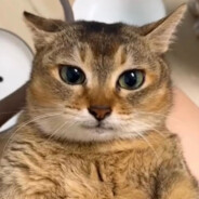 Steam Community :: That Fella