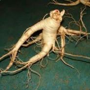 Steam Community :: Root