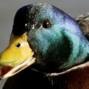 Steam Community :: Autistic Duck