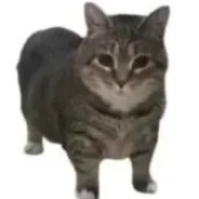 Steam Community :: scarletk