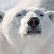 Steam Community :: Plogs