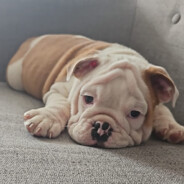 Steam Community :: Thanos