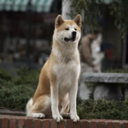 Steam Community :: WestAim