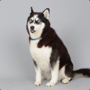 Steam Community :: Group :: MUPPET MEMESTERS