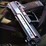 Steam Community :: Mr. GoodFox