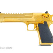 Steam Community :: Deagle