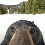 Steam Community :: Spufi