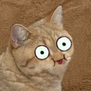 Steam Community :: Group :: Midnight Ninjas