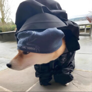 Steam Community :: Ponyal