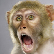 Steam Community :: shining monkey